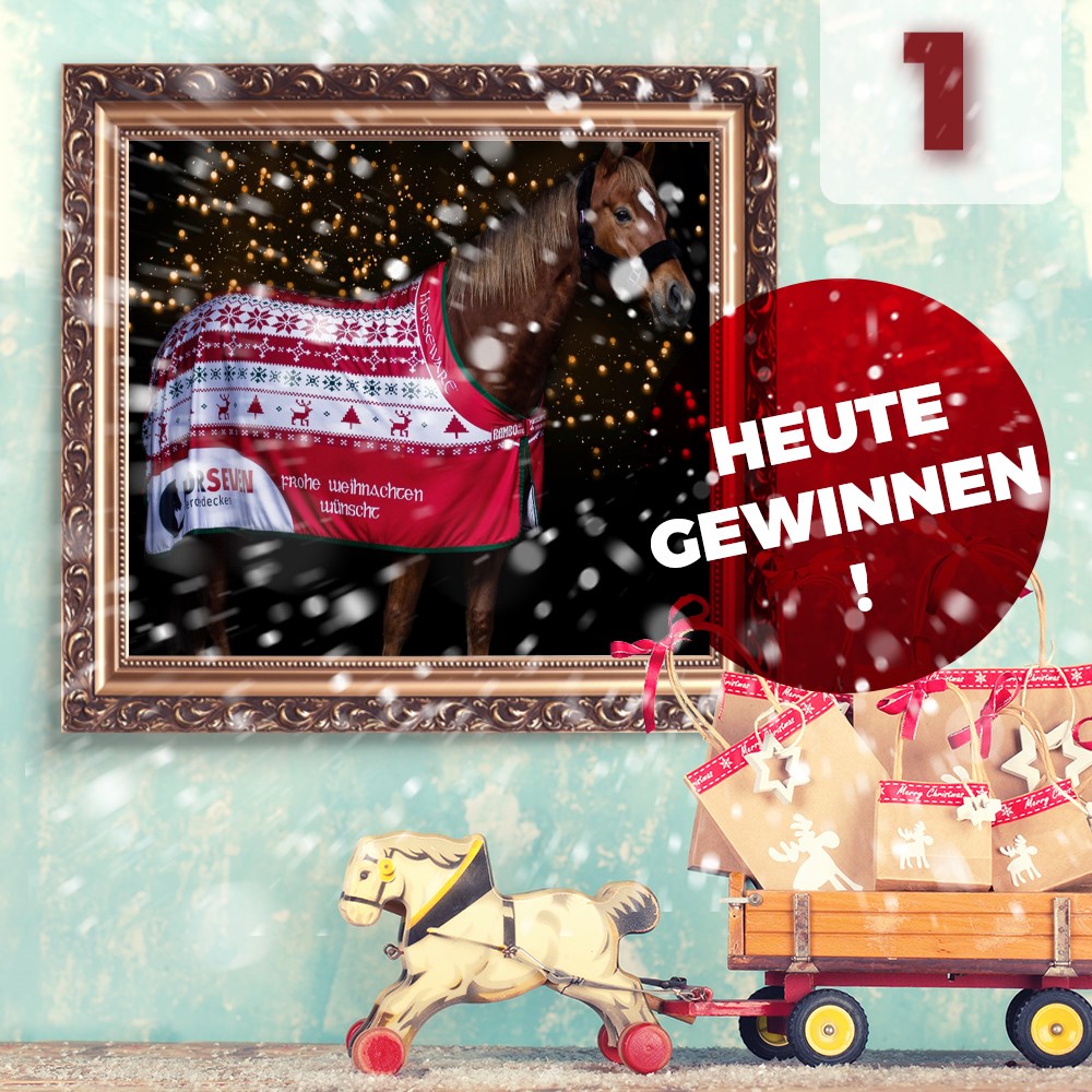 Adventskalender beim Horse Shop Landenhausen - Reitsport Landenhausen
