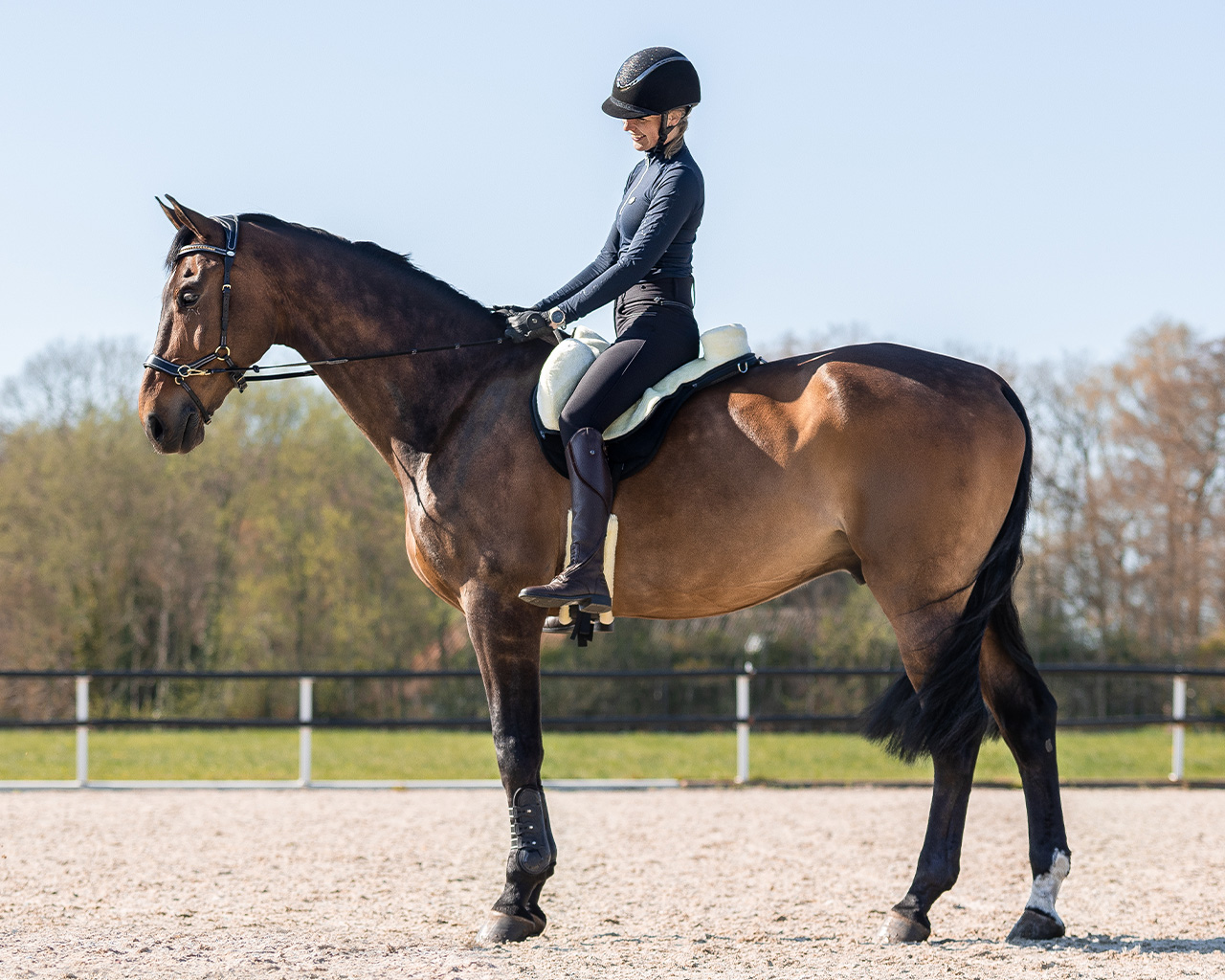 So stärkst Du die Bindung zu Deinem Pferd! - Reitsport Landenhausen